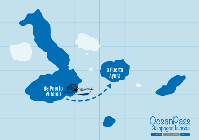 de Isla Isabela a → Isla Santa Cruz – OceanPass Galápagos